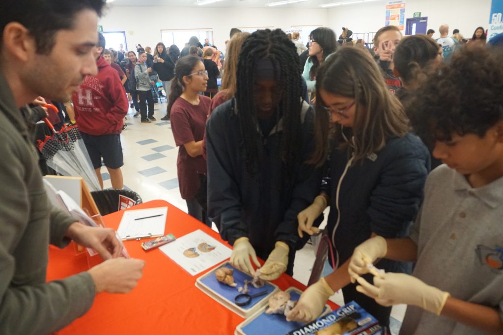 Community Engagement | Center for Autism and Developmental Disorders